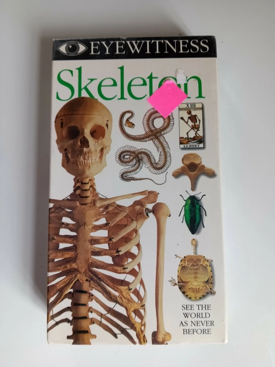 Eyewitness Vhs Mountain