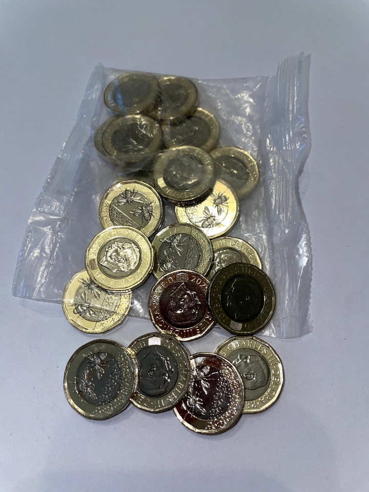 £1 Pound BEES Coin King Charles 2025 UNCIRCULATED from sealed bag LOW ...