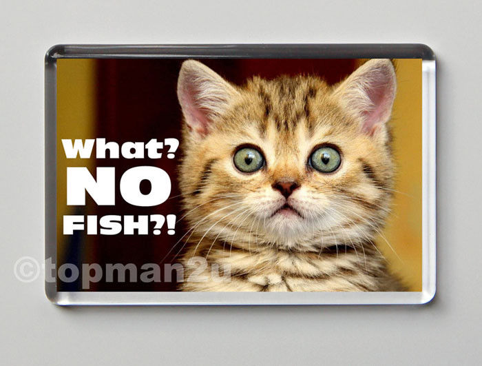 Magnet Memes The Best Magnets Memes :) Memedroid