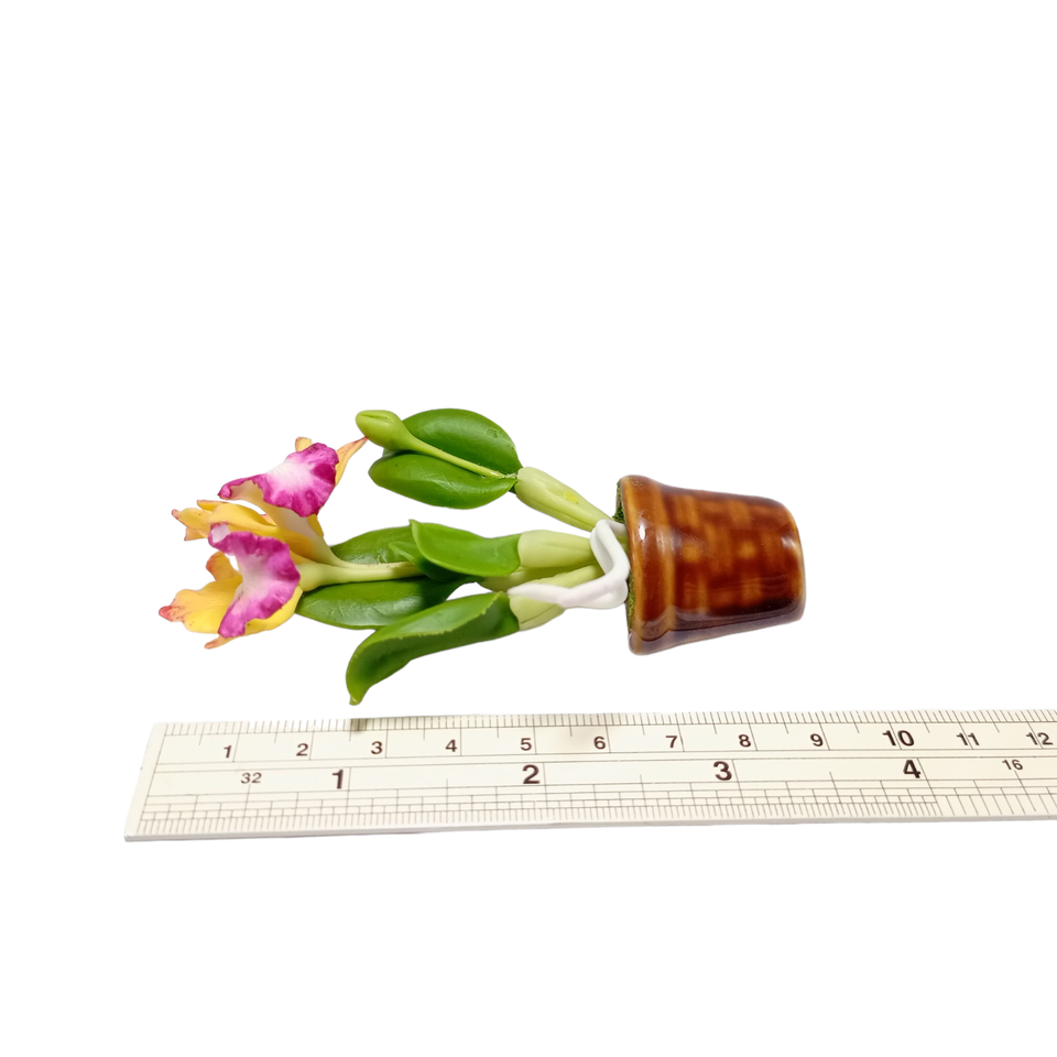 Orchid Cattleya 3D Fridge Magnets Flower Plant Pot Memo Holder Kitchen ...
