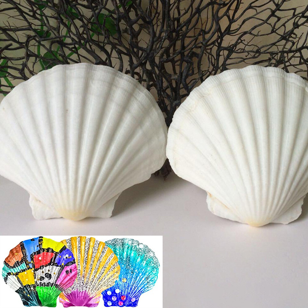 Scallop Shell Painting