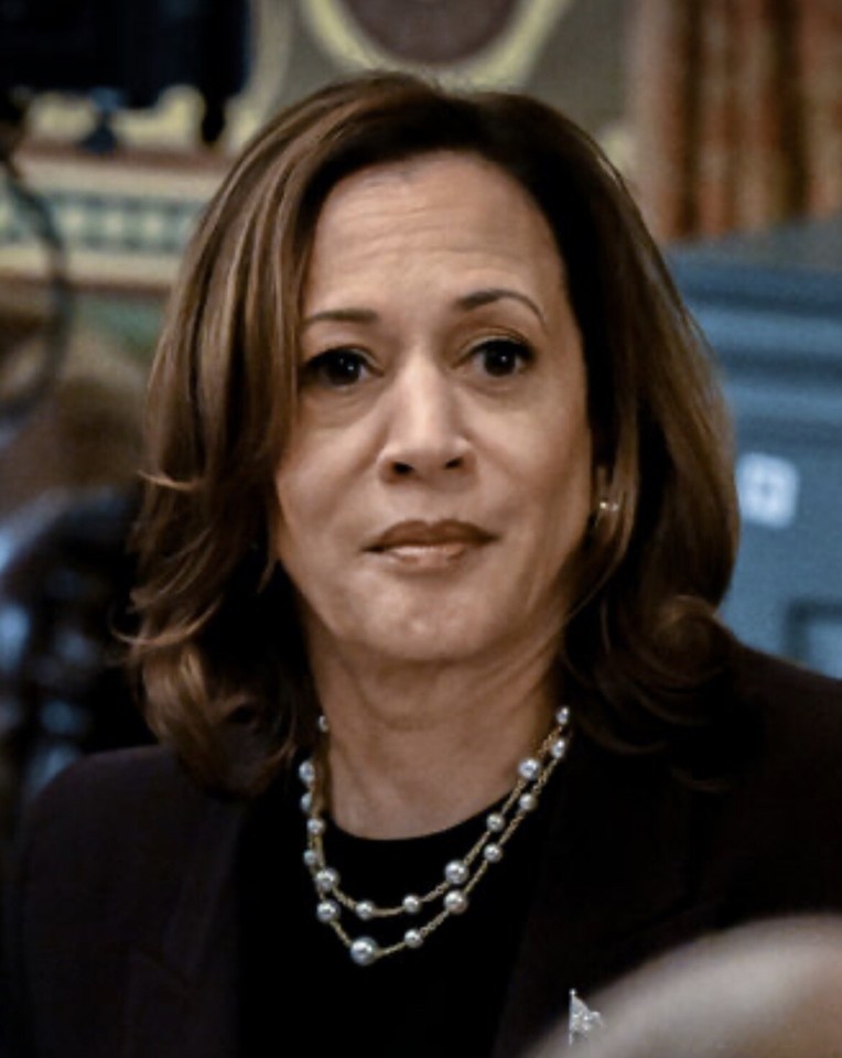 Kamala Harris Inspired Swarovski Crystal Pearl Necklace 34” Silver ...