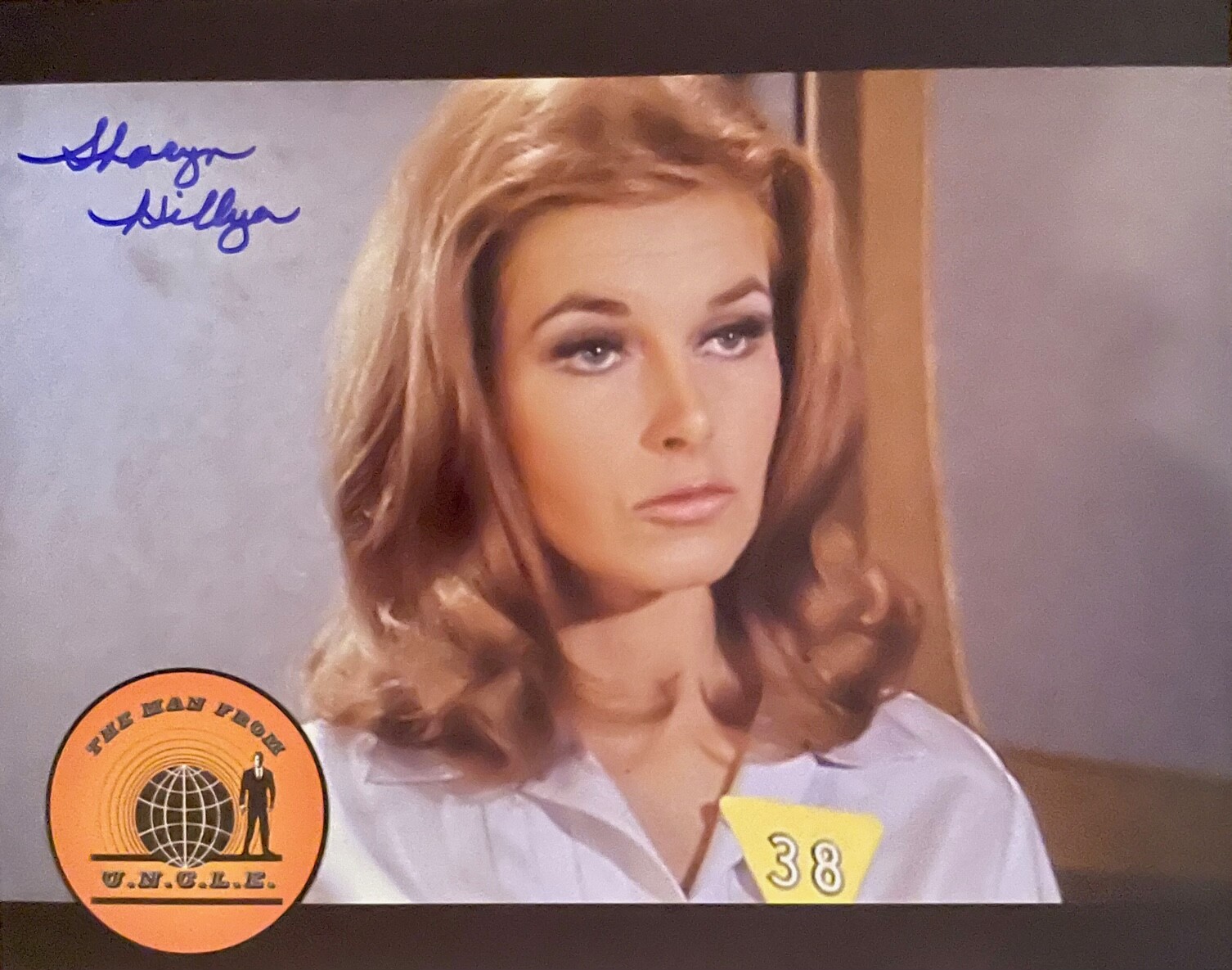 Sharyn Hillyer The Man from U.N.C.L.E. 1964 Original Autographed 8X10 ...