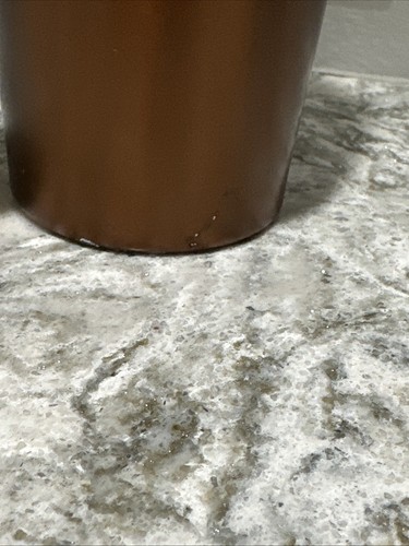 Stanley Cup Quencher H2.0 Tumbler 30oz Maple Glow | eBay