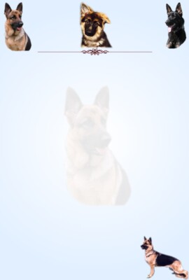 German Shepherd Dog, A5 Writing / Note Paper With Envelopes Gift Craft ...