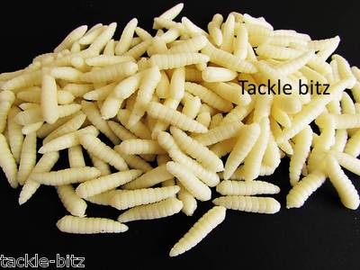 50 White Artificial Soft SINKING Imitation Bait Maggots Fake carp ...