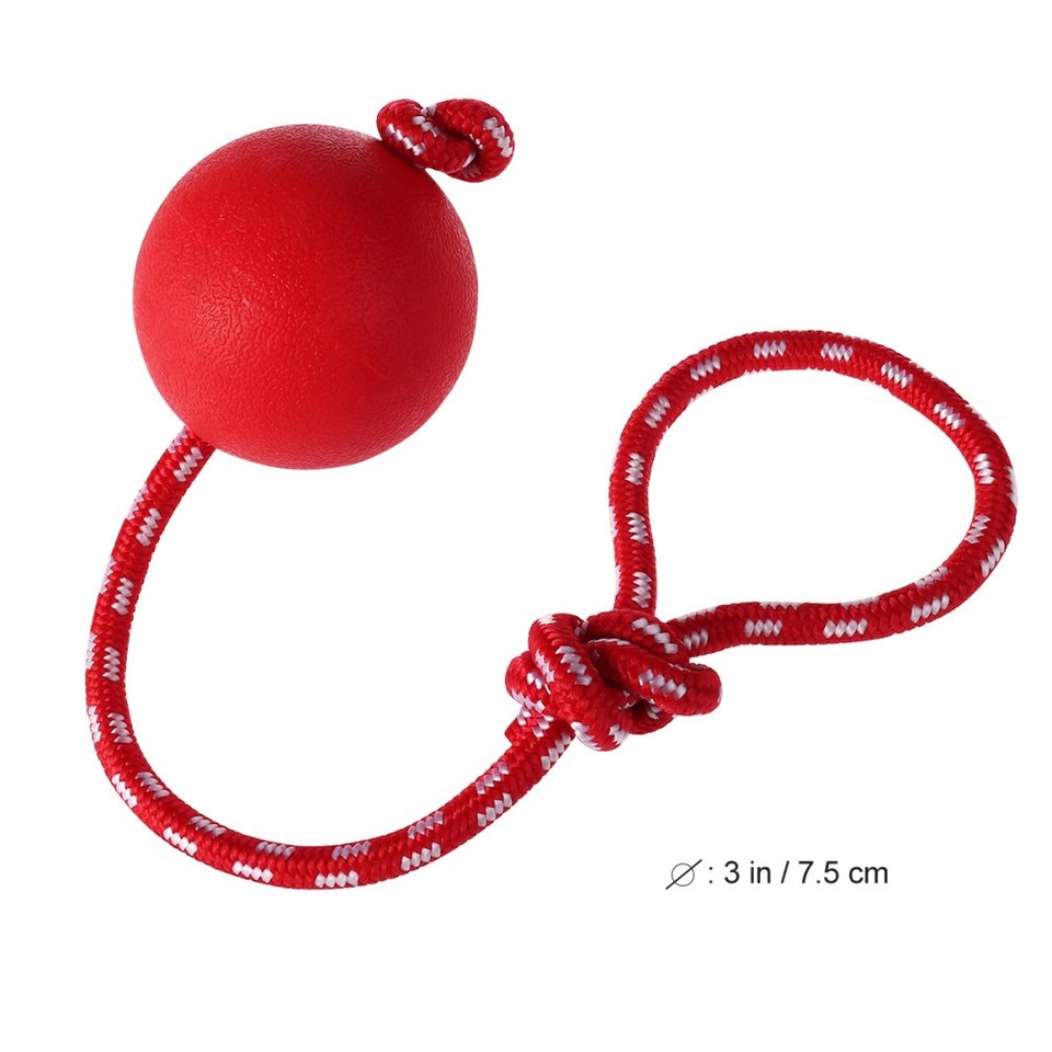 Pet Toy Ball Dog Training Equipment Solid Rubber on Rope Outdoor Toys ...