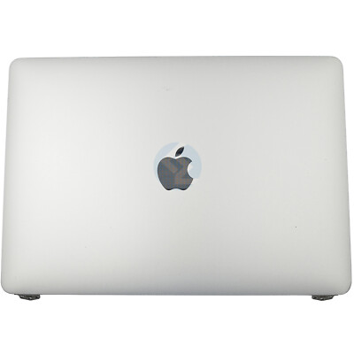 Grade B Silver LCD Screen Display Assembly 13" A2289 A2251 2020 New ...