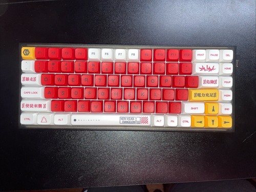 Custom EVA Keyboard + Holy Panda Switches | eBay
