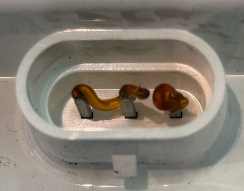 Weldon Thomas Bus C2 Amber Turn Signal 5801-0100-20 | eBay