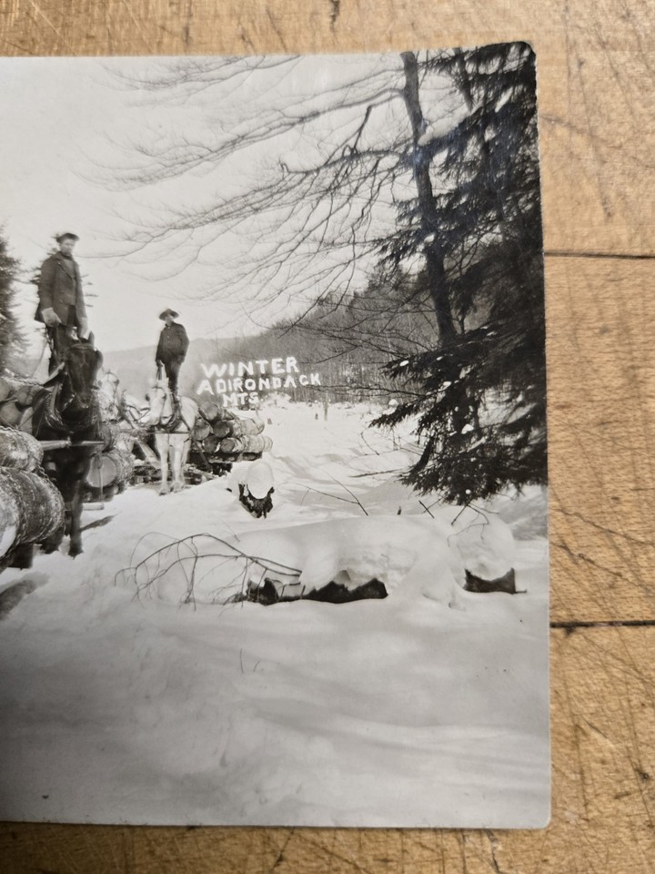 RPPC Winter Logging Adirondacks NY – Horse Team Hauling Logs – 1911 ...