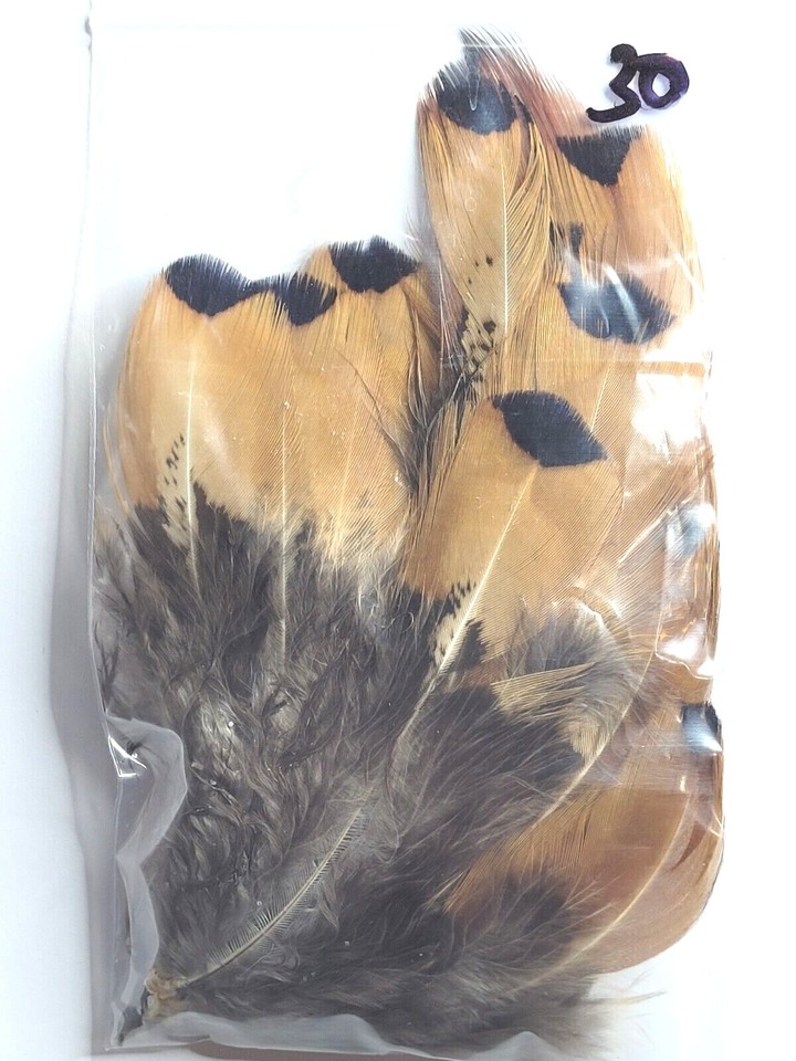 PHEASANT TAIL FEATHERS - U PICK - Various Feather Packs - Fly Tying ...
