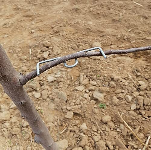 Fruit Tree Branch Puller Tying Machine Farm Tools New Plum Tree Open ...