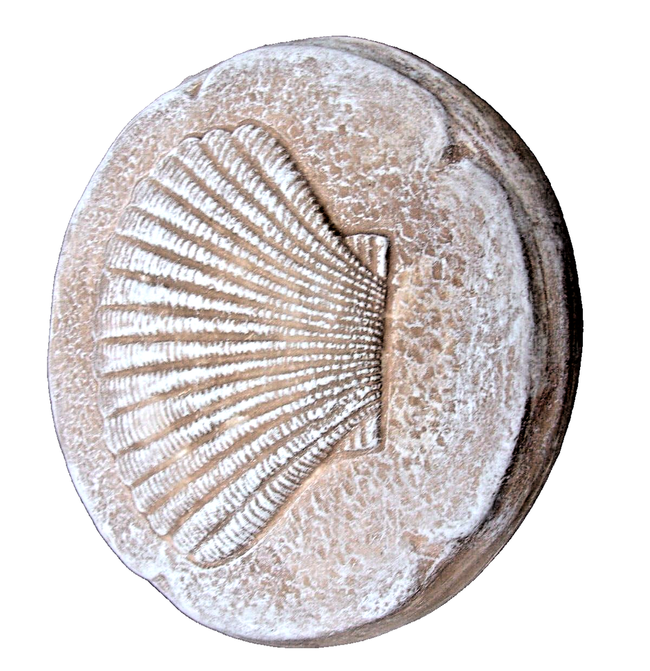 Shell plaque mold plaster concrete plastic sea mould 7" x 1" | eBay