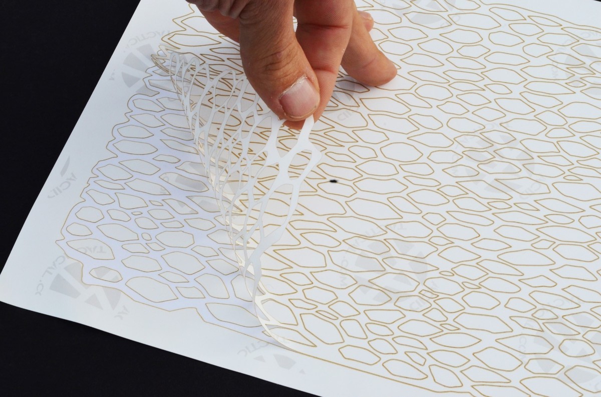Lizard Skin Stencil