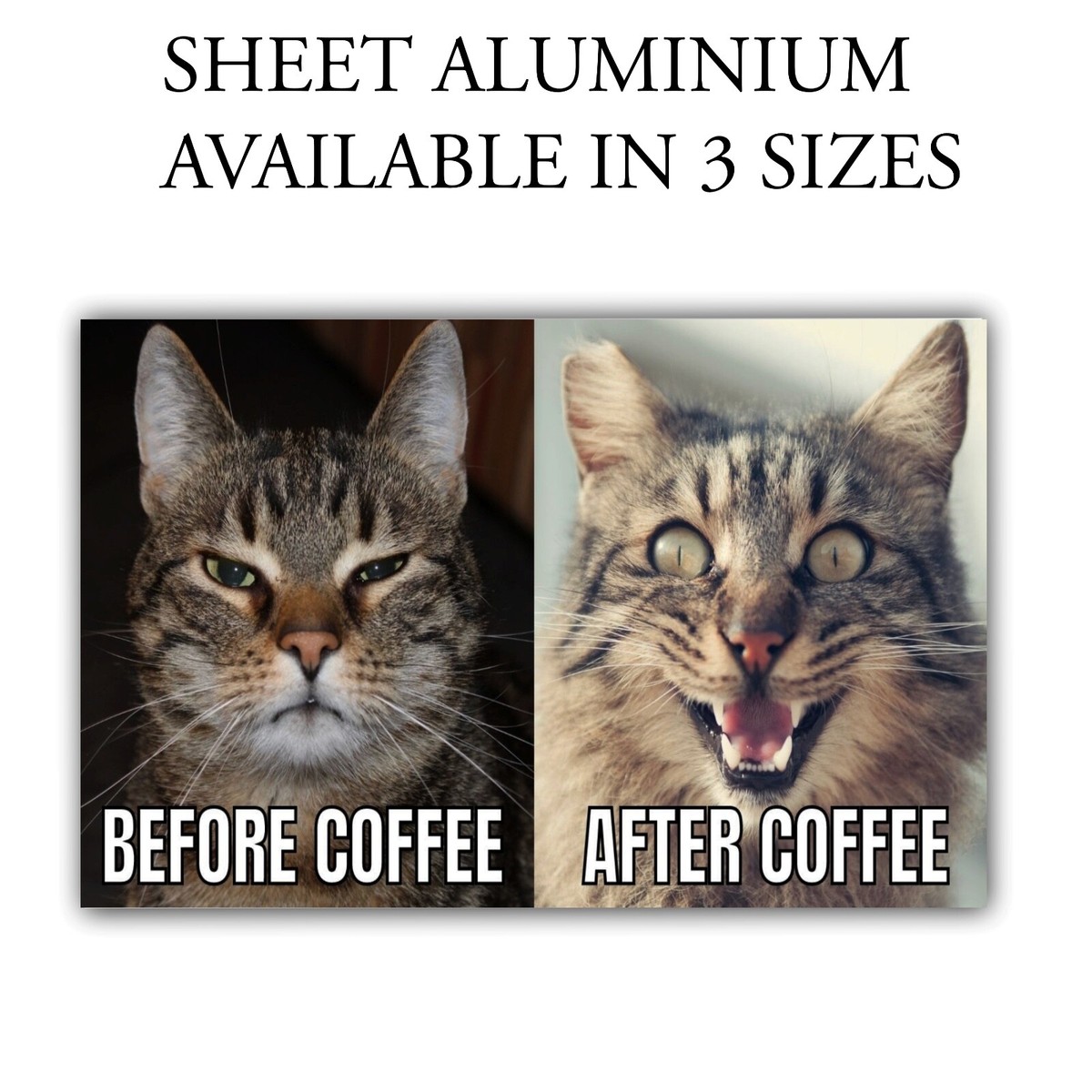 Coffee Cat Meme