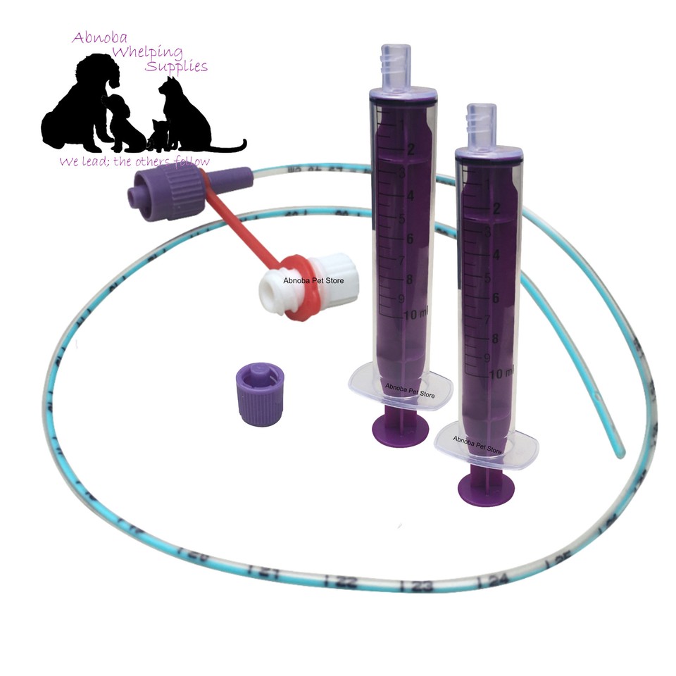 NEW LONGLIFE Sterile Tube Feeding Kit Whelping Puppy Kitten Small ...