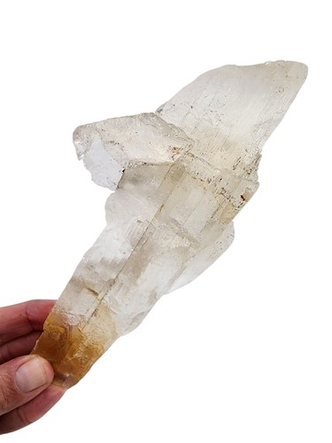 Golden Phantom Selenite Crystal Specimen Utah 216.2 grams. | eBay