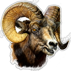 Ram Head Sheep Farm Animal Wildlife Horns Car Bumper Vinyl Sticker ...