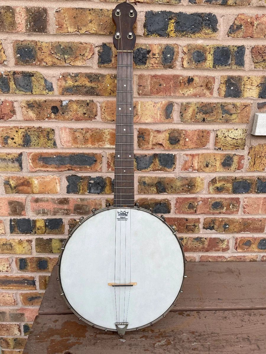 Banjo Art