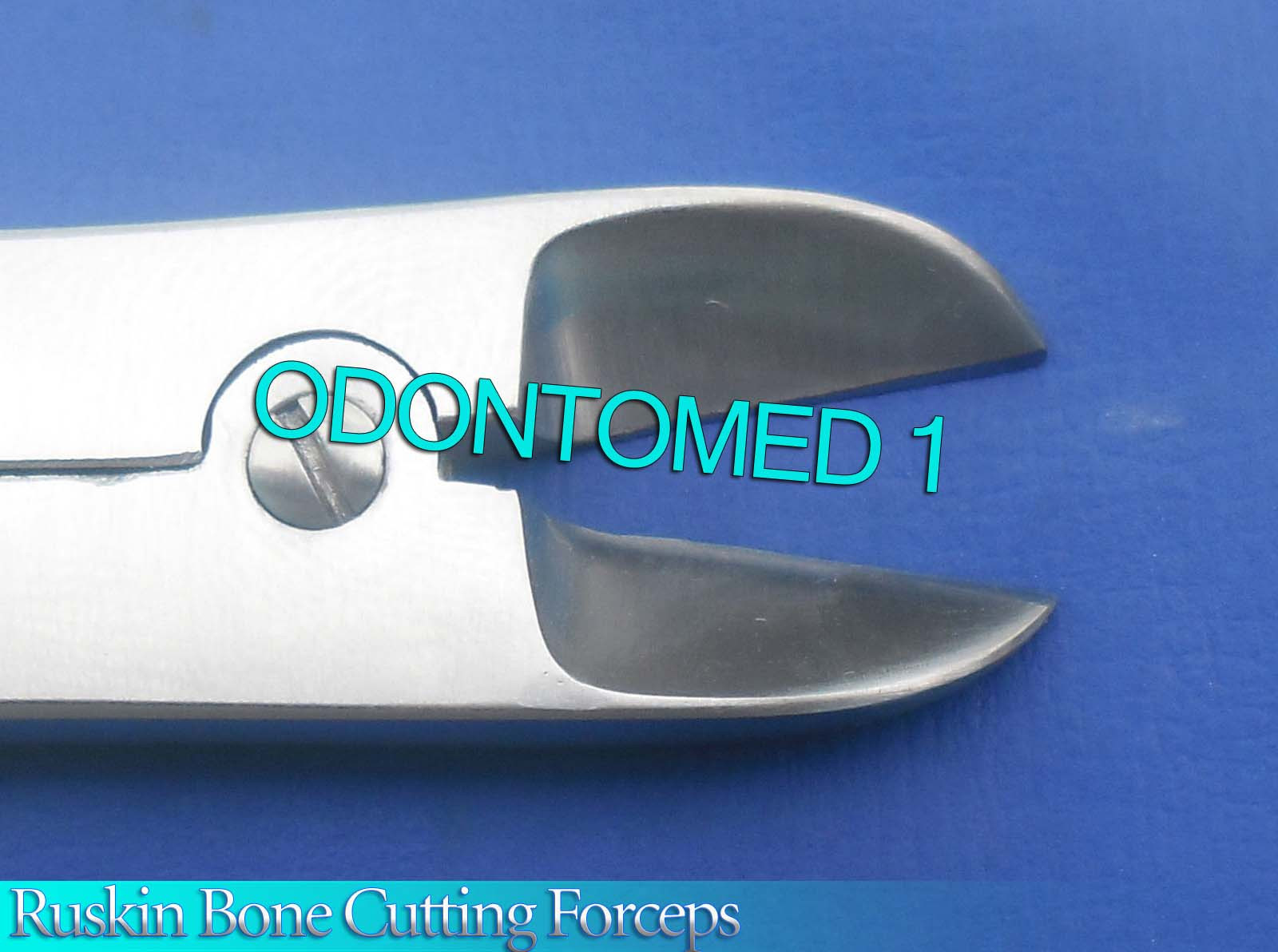 RUSKIN BONE CUTTING Straight 7.50" Double Action | eBay