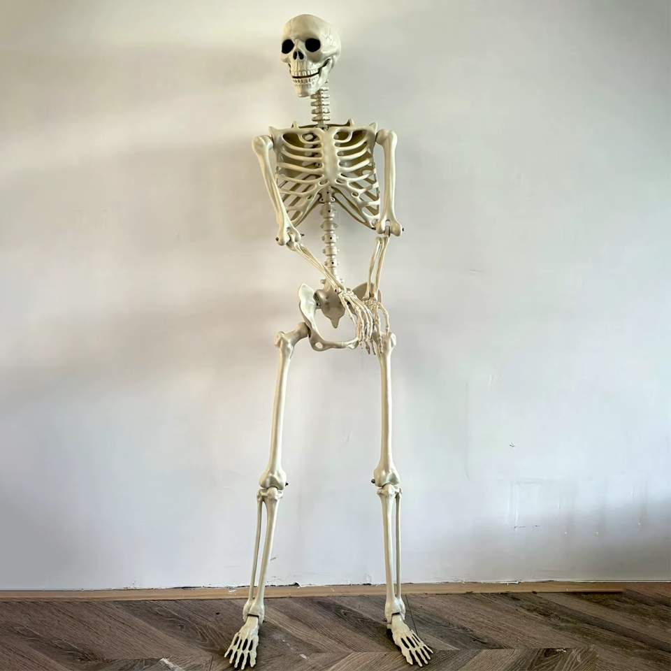 Halloween Skeleton Life Size Human Skeleton with Posable Joints Weather ...