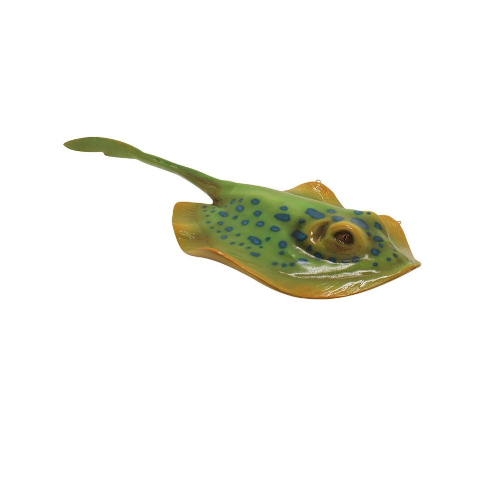 Sting Ray Colorful Life Size Statue Hanging 5 FT | eBay