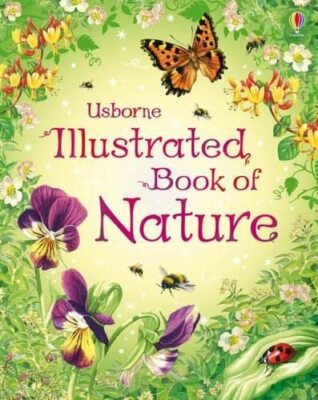 Usborne Illustrated Book of Nature (Usborne Little by Clarke, Phillip ...