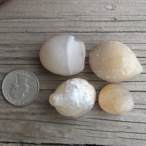 4PCS Natural Gobi agate/Jasper stone for Bonsai Suiseki gm922 | eBay