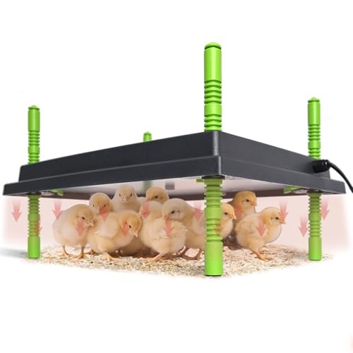 Chick Brooder Heater Plate, 12"x16" Warmer 12inch*16inch Chicken ...