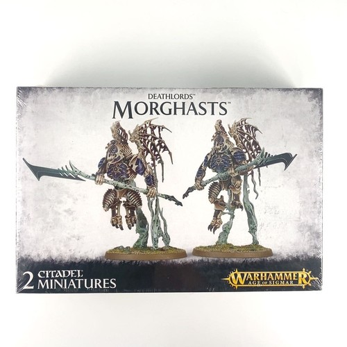 X1 X2 Morghast Box - New Plastic Warhammer AOS | P-00FZ9 | eBay