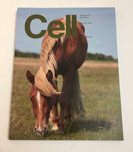 Cell Magazine Medical Journal Vol 177 #6 May 30, 2019 Biology Medicine ...
