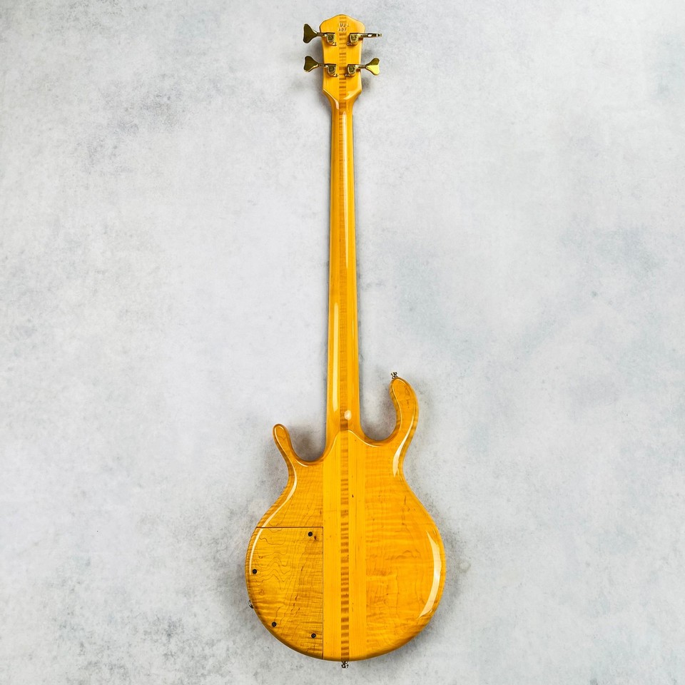 Pedulla Buzz Bass 4-String Fretless 1988 - Transparent Amber | eBay