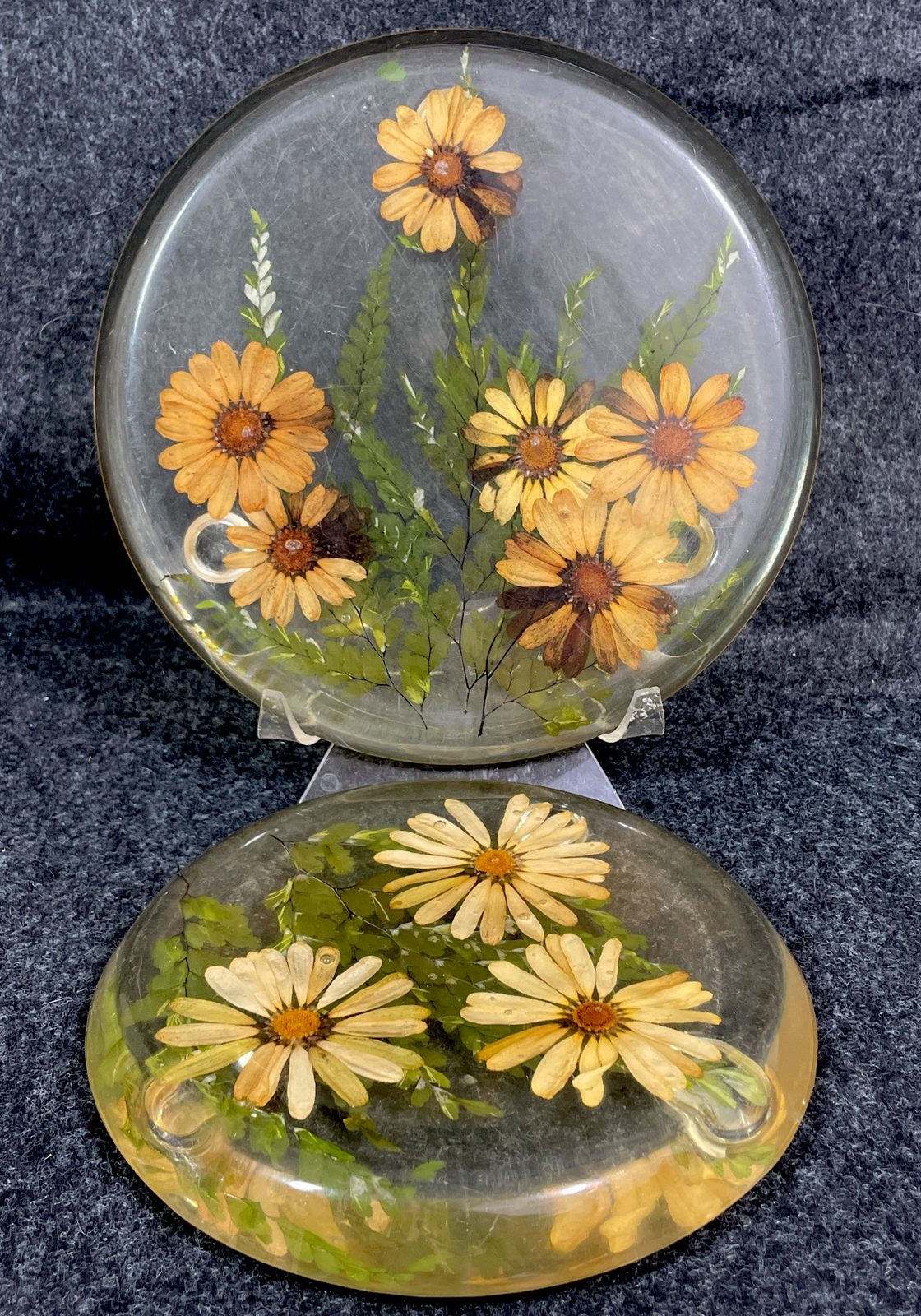 MCM Retro Vintage Lucite Round Footed Pressed Dry Flowers Trivet 7"/8 ...