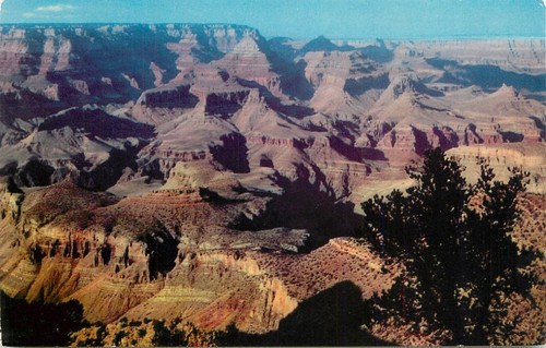 United States Grand Canyon Arizona Grand view point | eBay