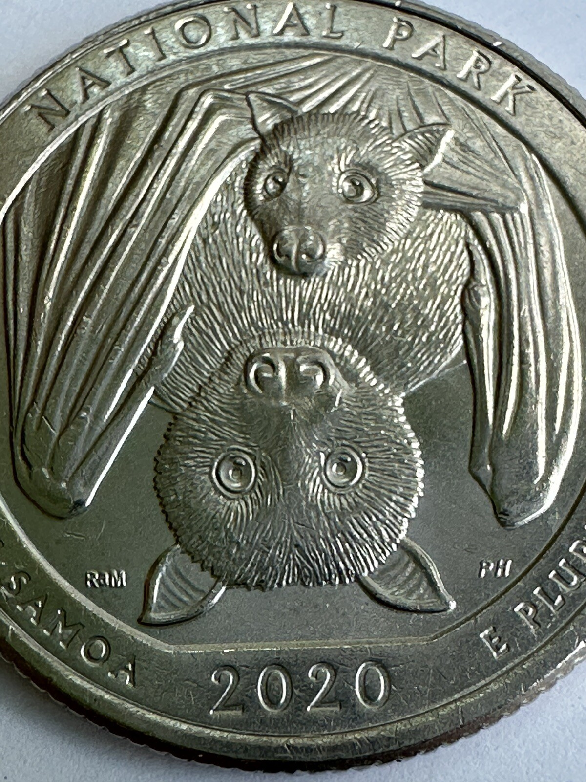 Rare 2020 Bat Quarter | eBay