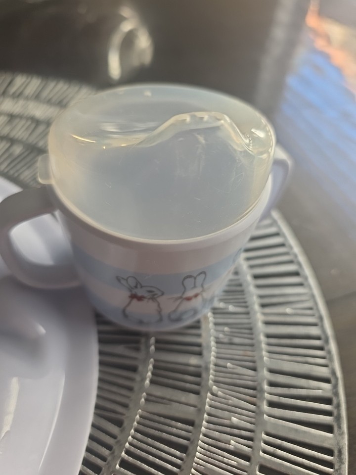 Beatrix Potter Peter Rabbit Childrens Melamine Hungry Bunny 10” Plate ...