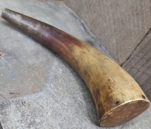 Antique Handmade Real Cow Bull Powder Horn Flask Gunpowder Holder ...