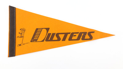 Vtg 1970s Binghamton Broome Dusters Logo Hockey Felt Pennant 17" | eBay