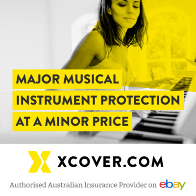 Musical Instrument Protection (INS14001424U) | eBay