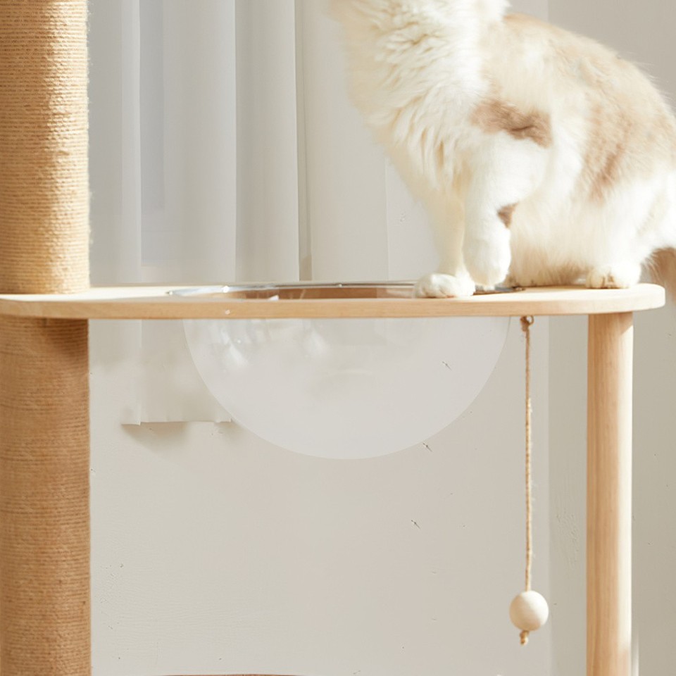 Diy Scratching Tree Dome Clear Acrylic Nest Capsule Bowl Cat Accessory ...