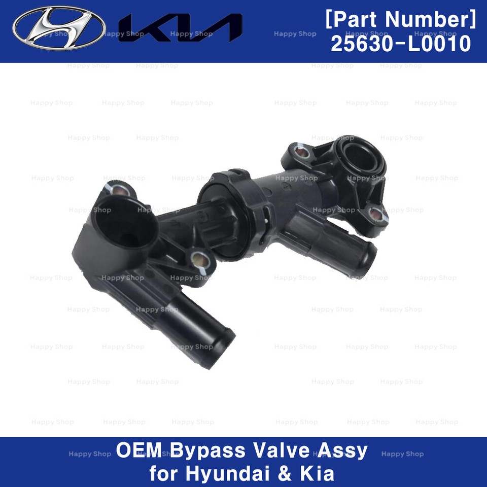25630L0010 Genuine OEM Bypass Valve for Hyundai Santa Cruz Tucson Kia ...