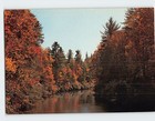 Postcard Lovely trees Linville River Pisgah National Forest North ...