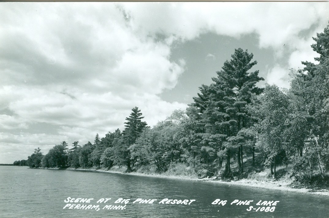 Perham MN Big Pine Lake and Resort RPPC | eBay