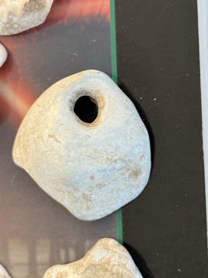 11 Mississippian Era Shell Beads Found Near Cahokia Mounds Madison Co ...