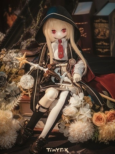TINYFOX MACOCO Joshua the Sealed Grimoire Full SET BJD Doll 1/4 RARE ...