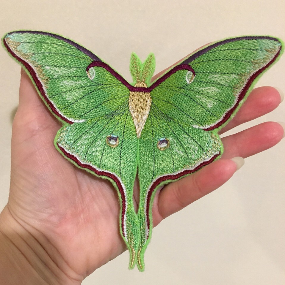 GLOW in DARK Large 6” Inch Embroidered Luna Moth IRON ON Patch | eBay