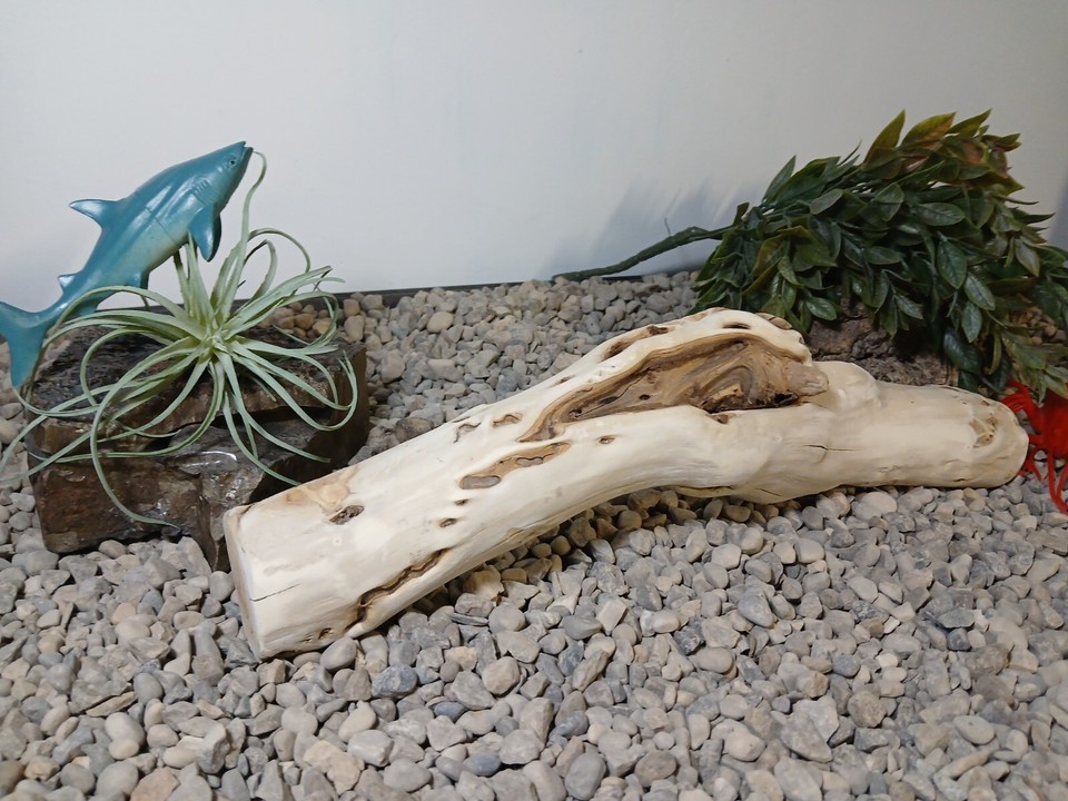 Driftwood aquarium fish & reptiles 4x14" natural basking log decor | eBay