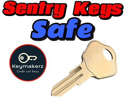 Sentry Safe Double Sided Keys Replacement Spare key Cut to Your Key ...