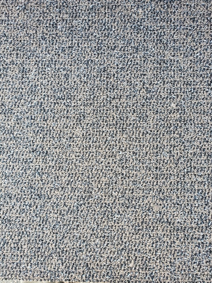 Tandus Carpet Tile | eBay